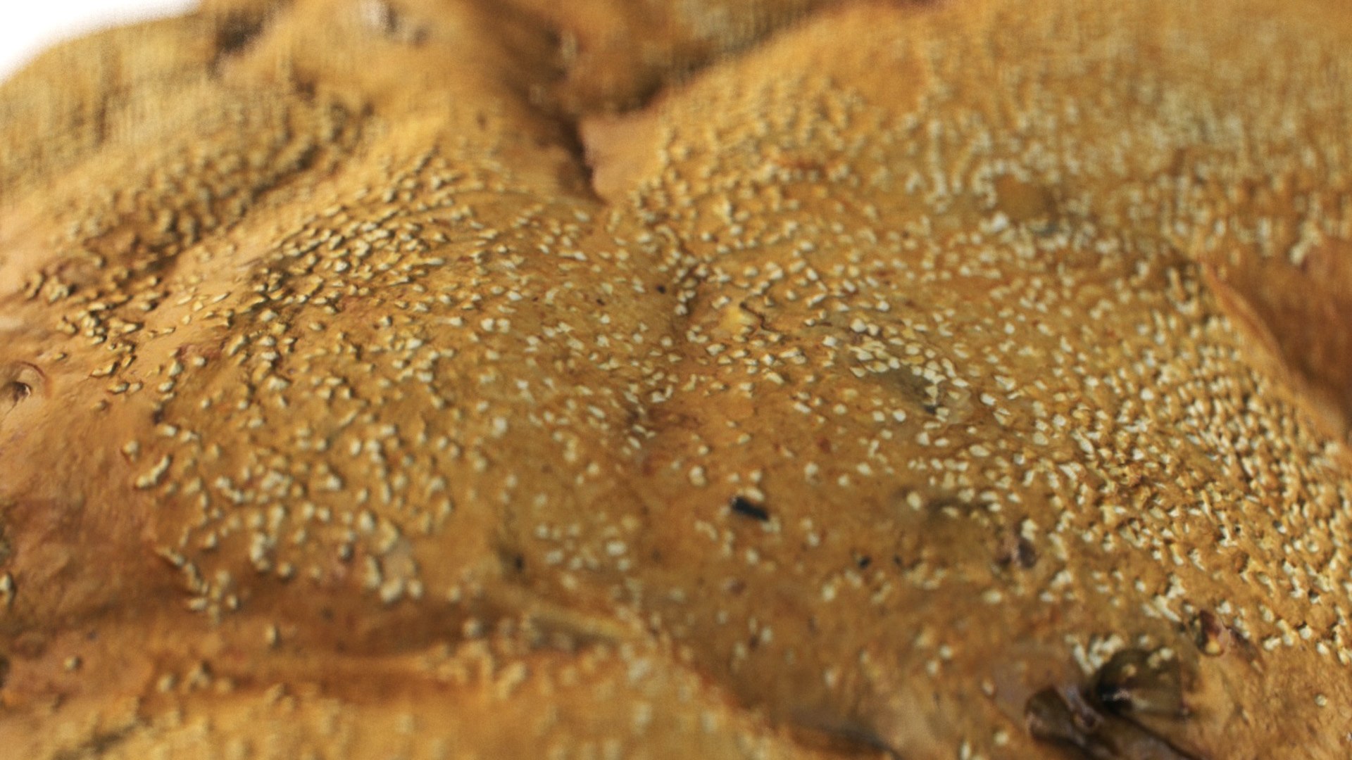 3D Whole Grain Bread With Seeds Model - TurboSquid 1967206