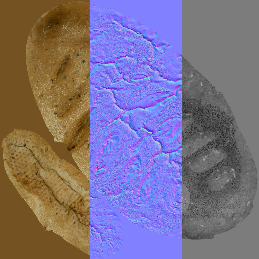 3D Whole Grain Bread With Seeds Model - TurboSquid 1967206