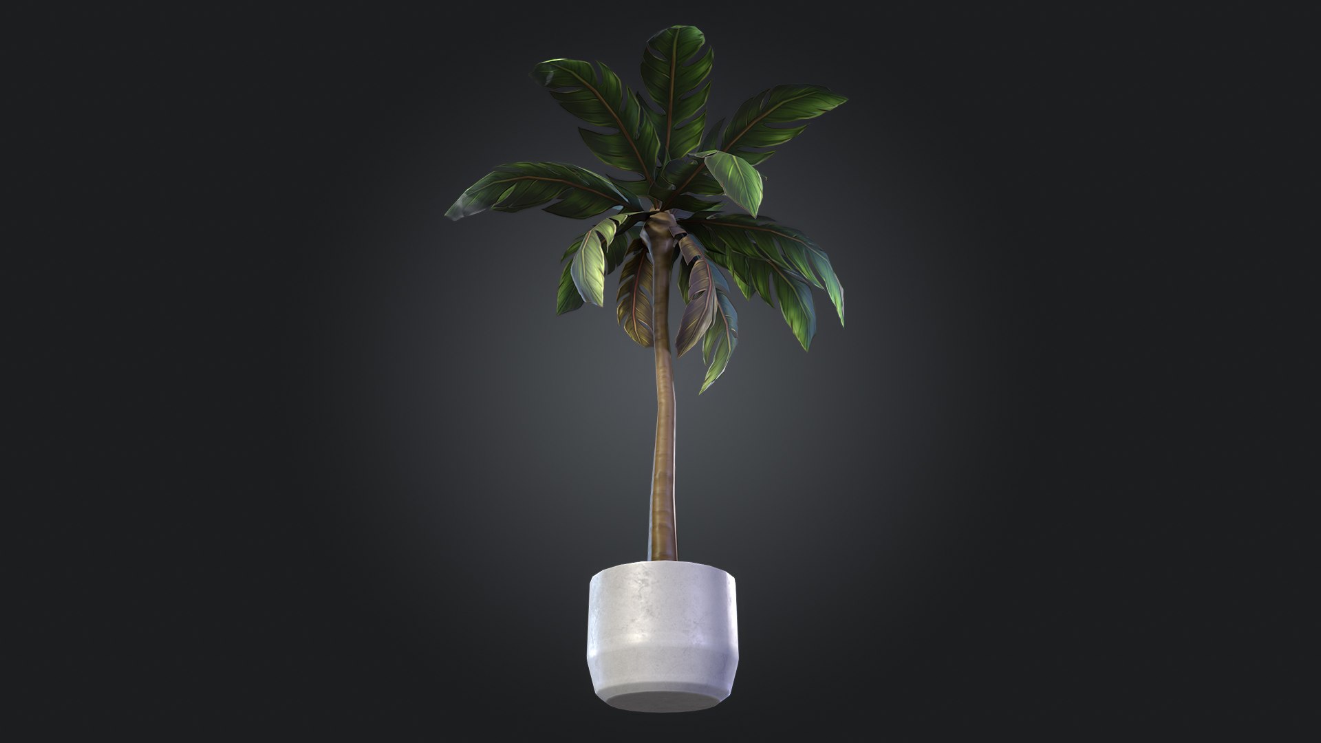 Palm 3D - TurboSquid 2177060