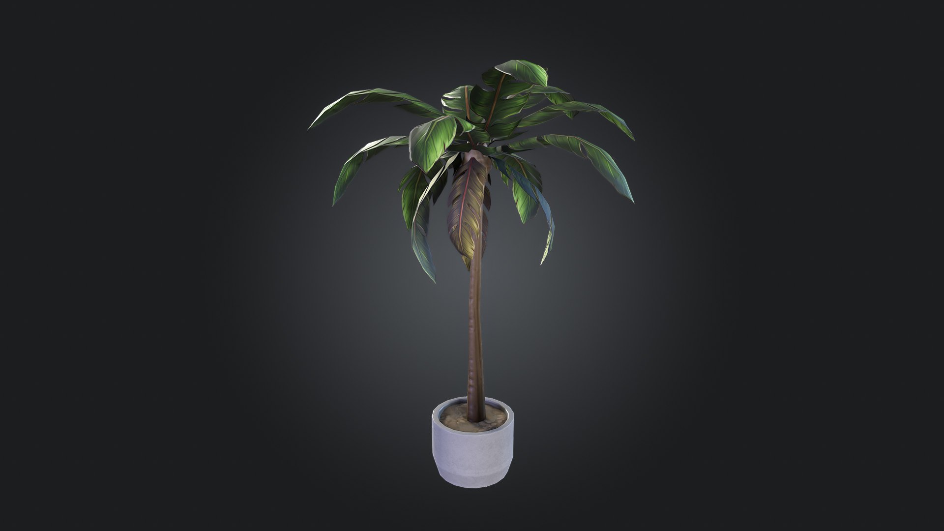 Palm 3D - TurboSquid 2177060