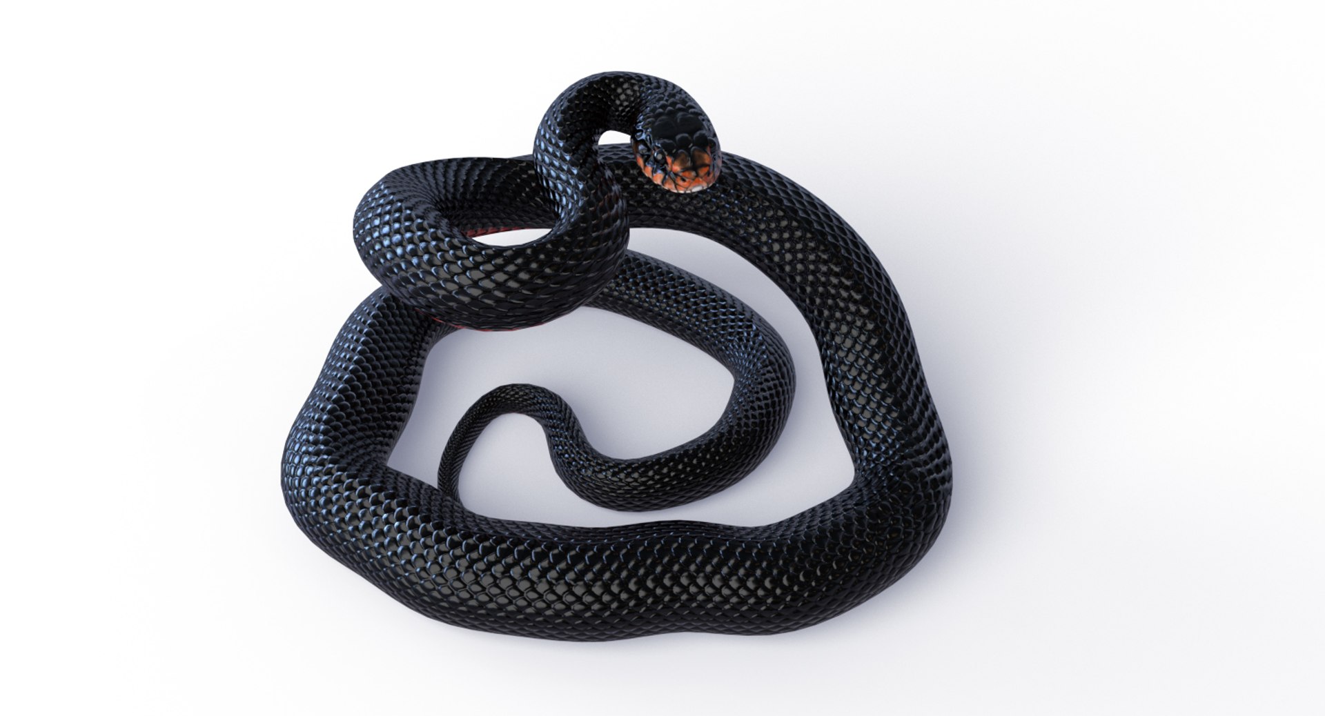 3D Red Bellied Black Snake - Rigged Model - TurboSquid 1774522