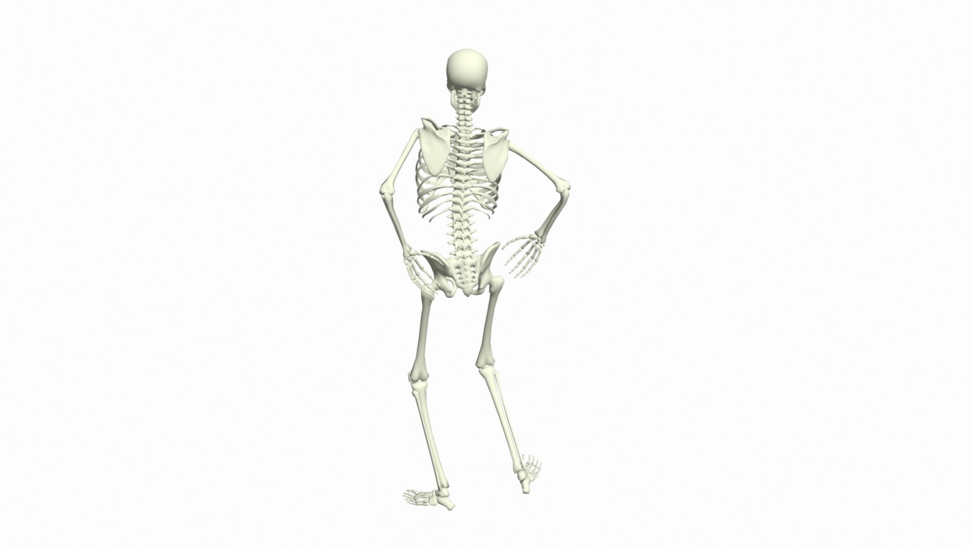 3D Skeleton Header Soccerball - TurboSquid 1890978