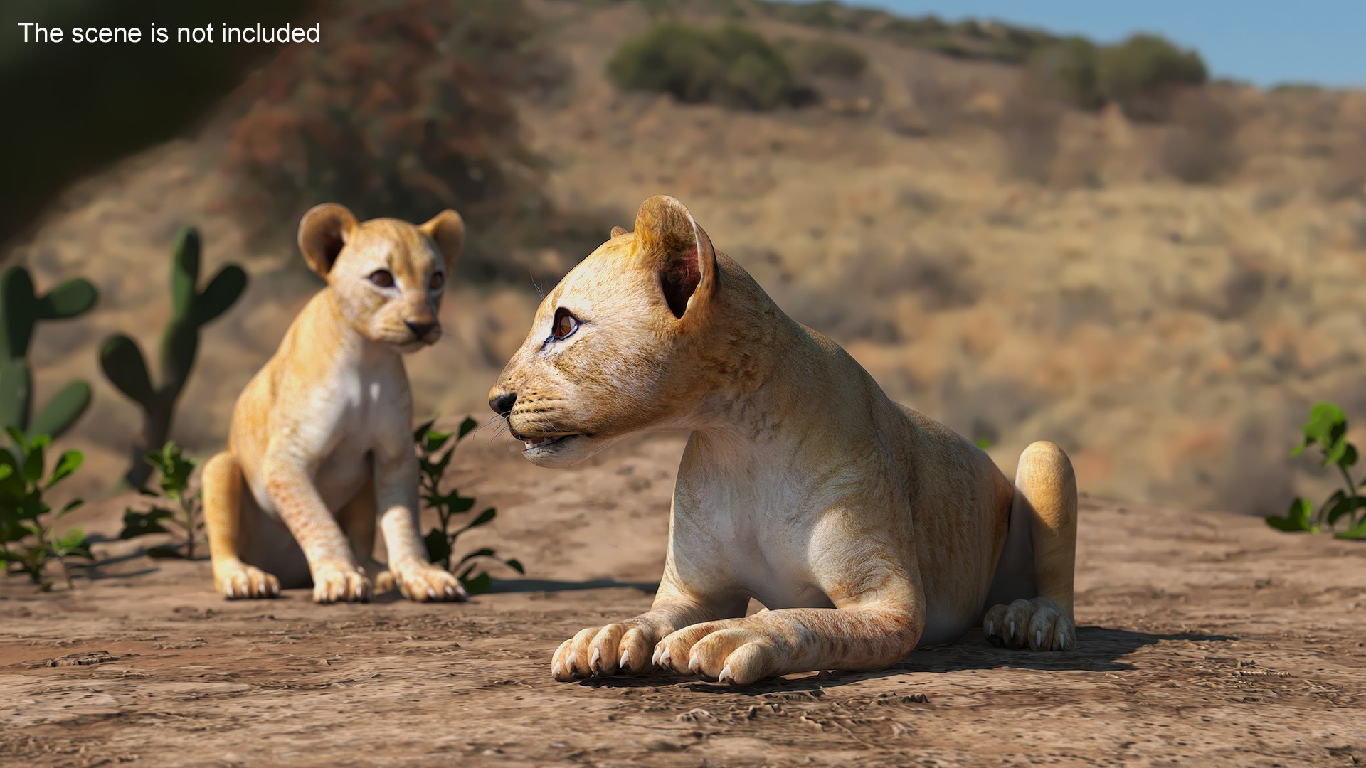 3D Model Lion Cub Rigged - TurboSquid 2335671