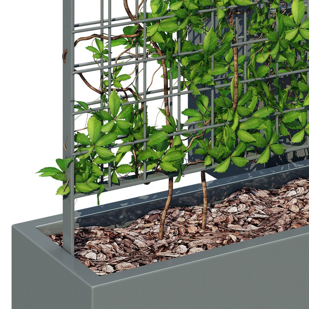 Trellis Planter 3D Model - TurboSquid 2023138