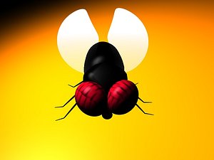 Cartoon Fly 3D Models for Download | TurboSquid