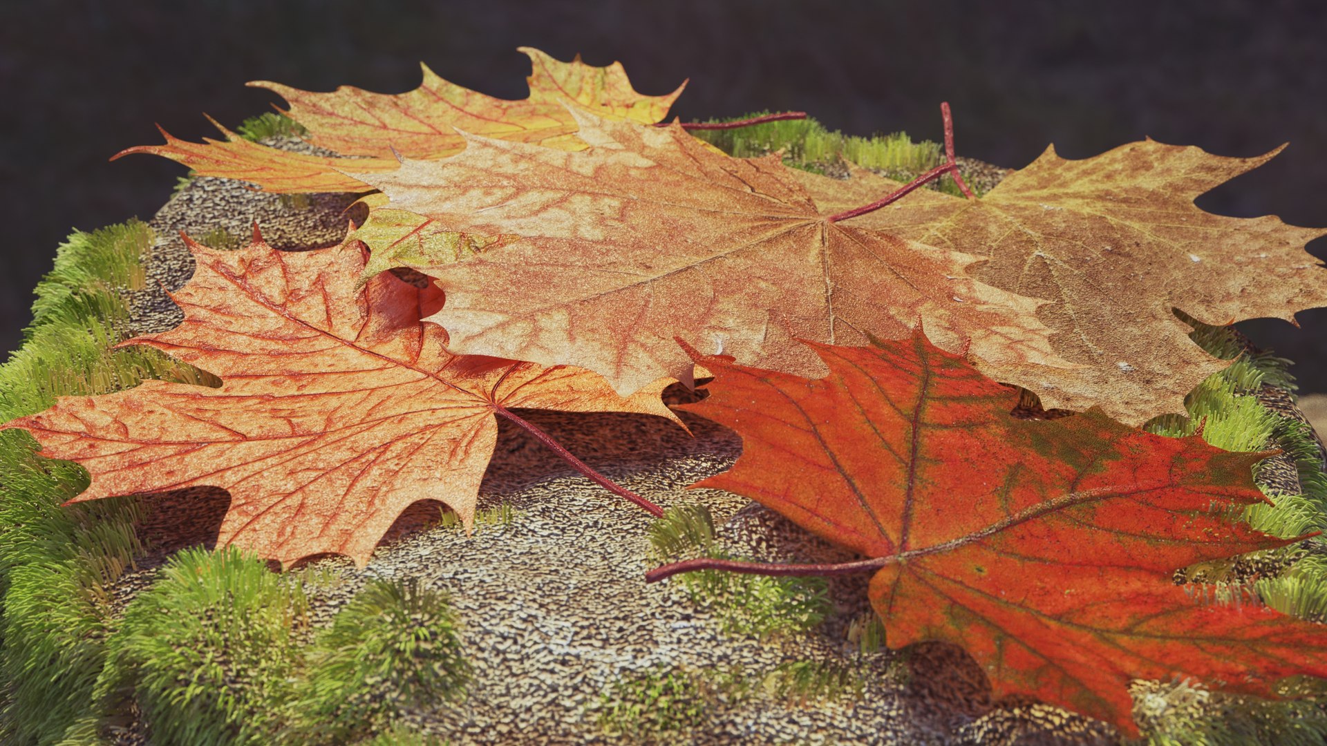 3D Model Maple Autumn Fall Leaves - TurboSquid 2086690