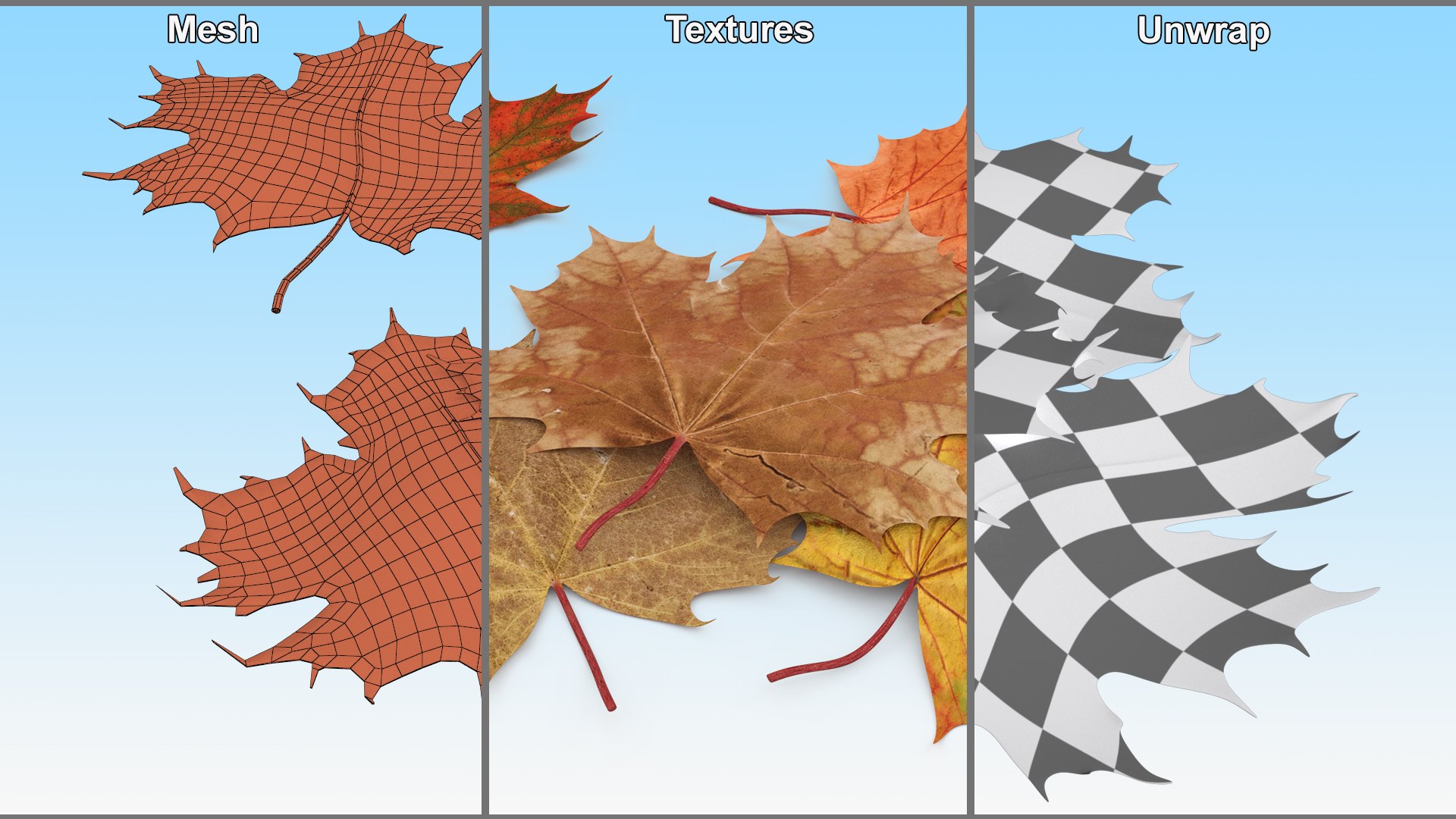 3D Model Maple Autumn Fall Leaves - TurboSquid 2086690
