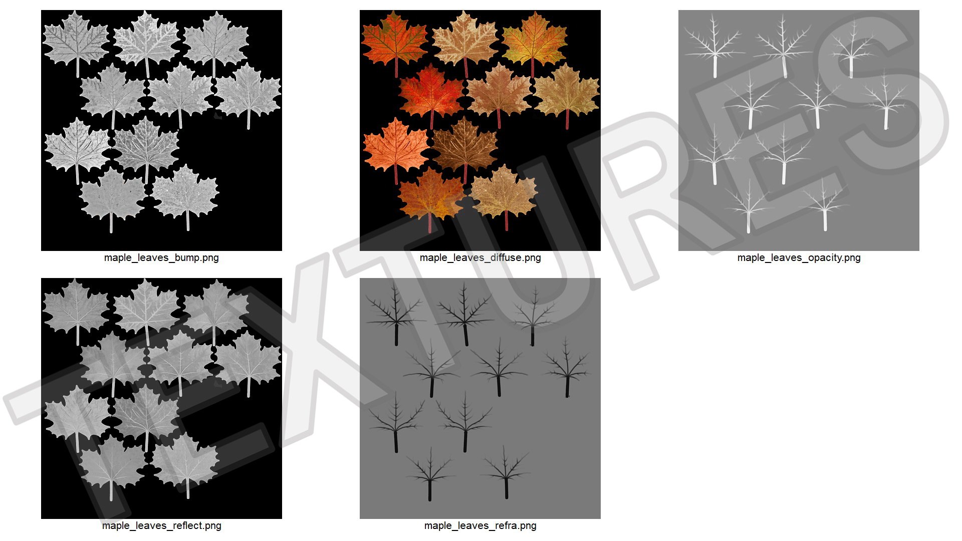 3D model Maple Autumn Fall Leaves - TurboSquid 2086690