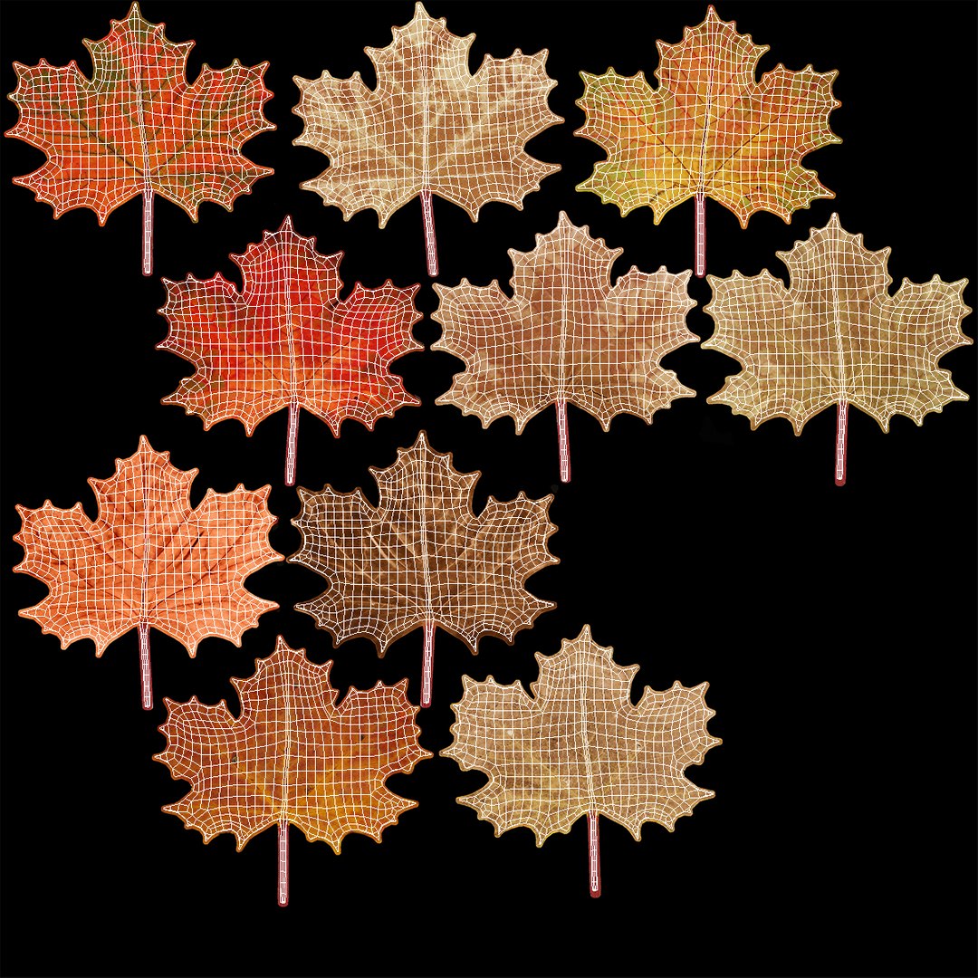 3D model Maple Autumn Fall Leaves - TurboSquid 2086690