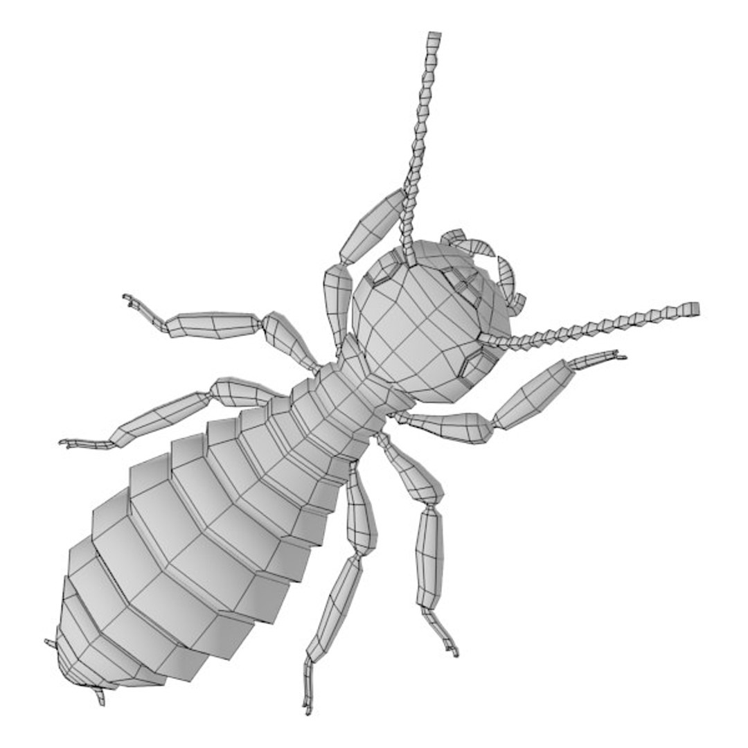 3d model of termite