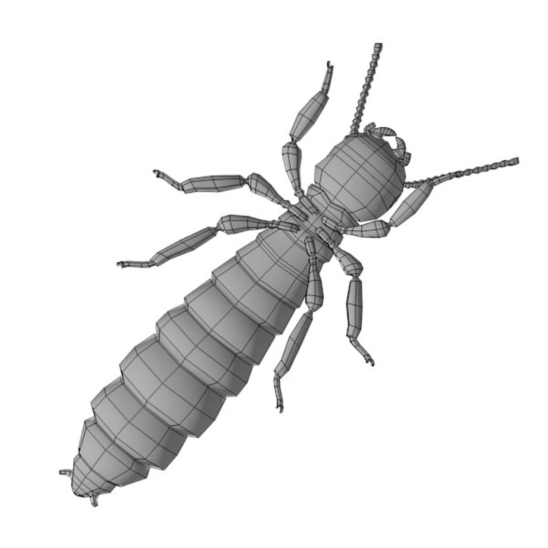 3d Model Of Termite