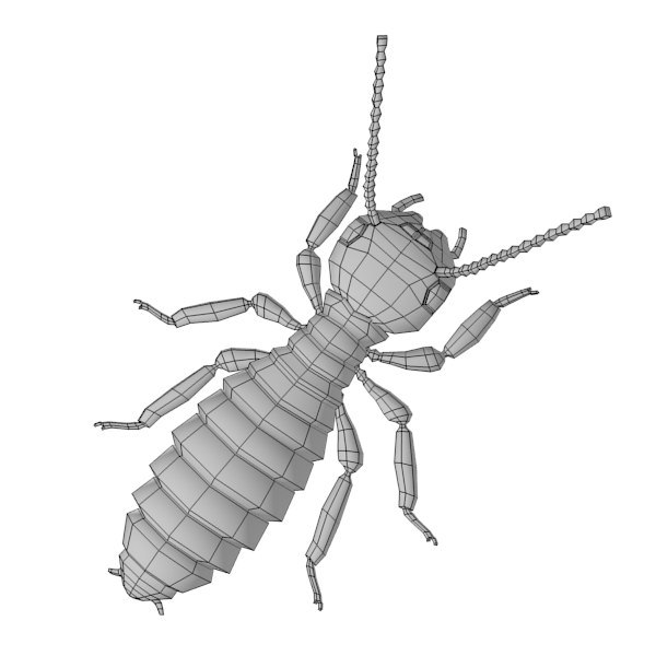 3d model of termite