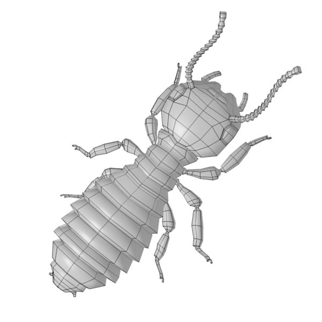 3d Model Of Termite