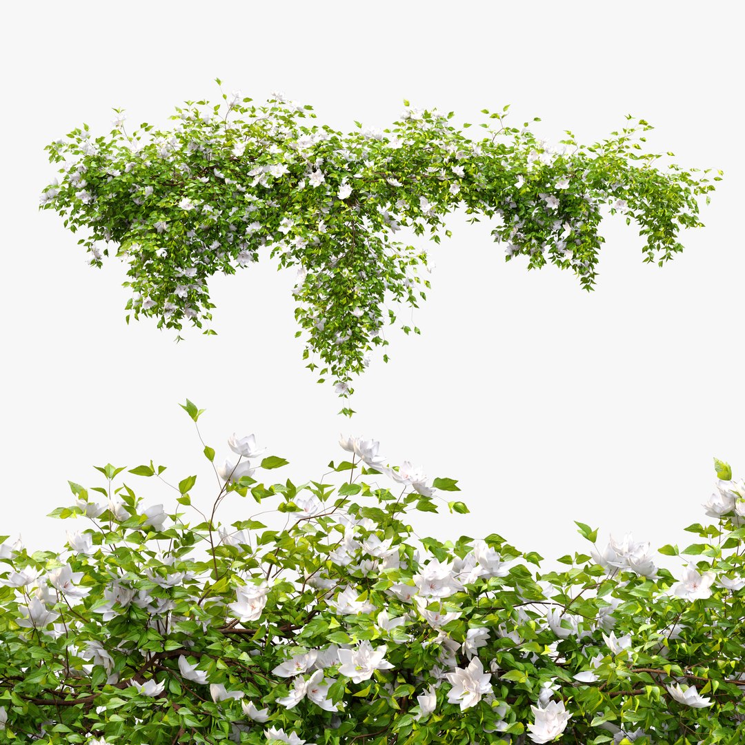 3D model Hanging Plant 15 - TurboSquid 1947185