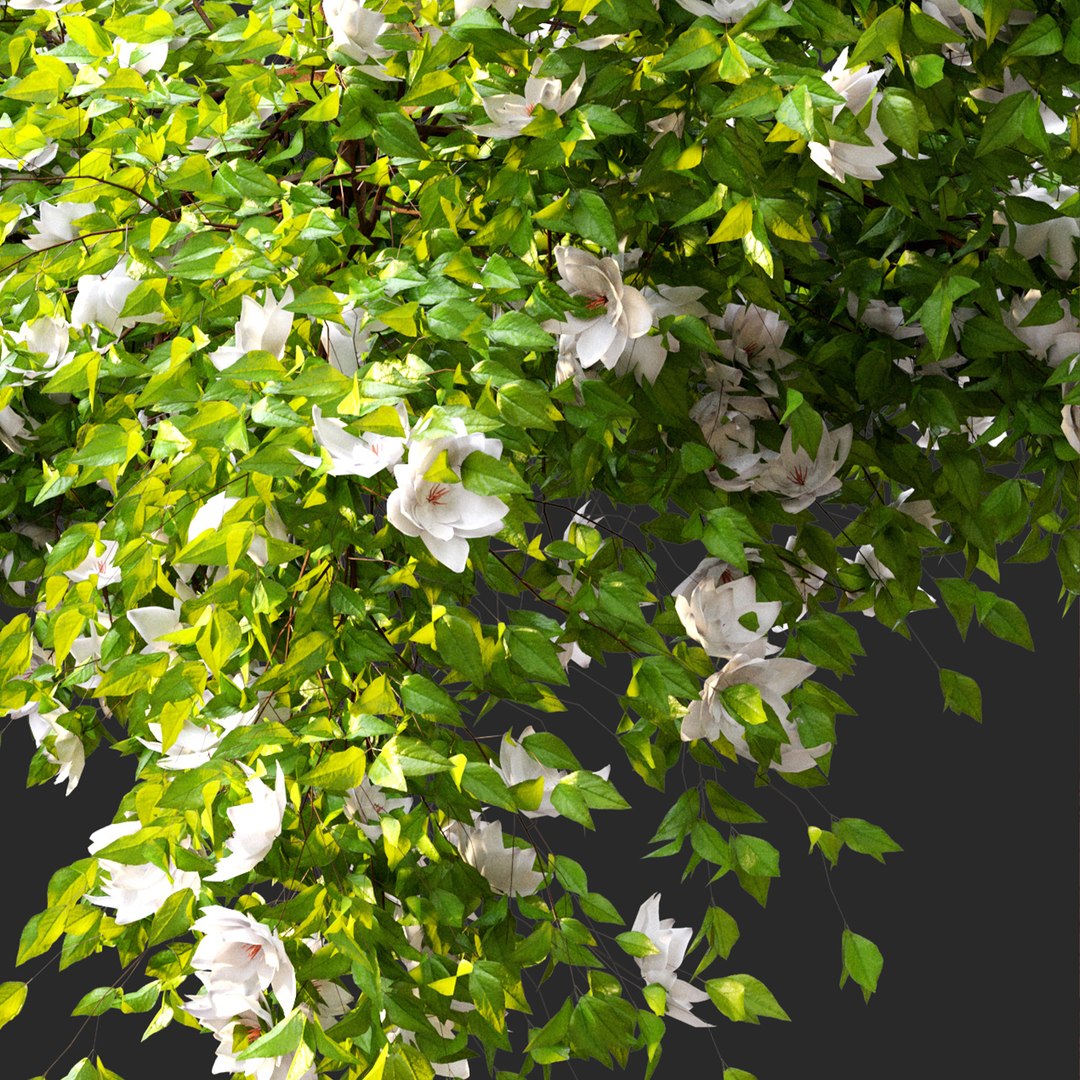 3D Model Hanging Plant 15 - TurboSquid 1947185
