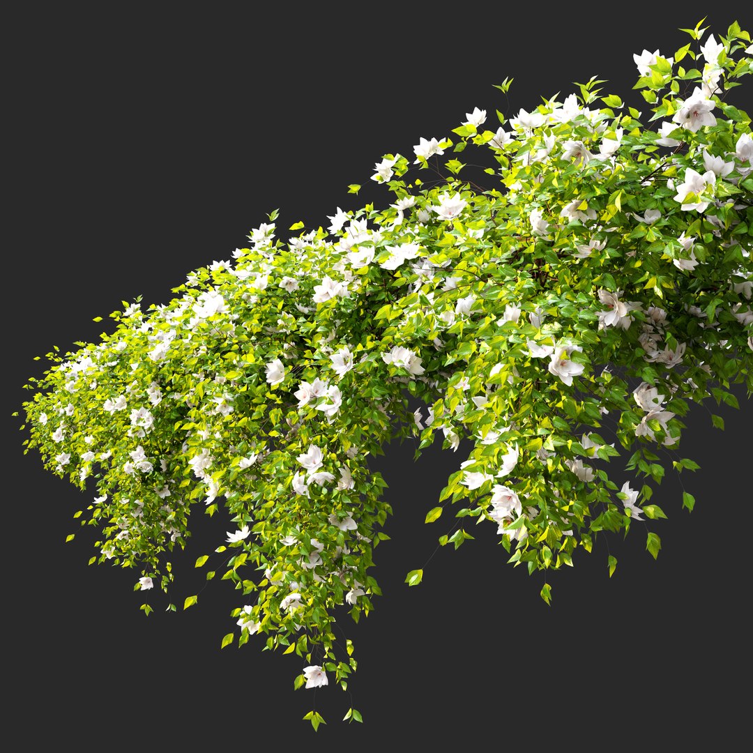 3D Model Hanging Plant 15 - TurboSquid 1947185