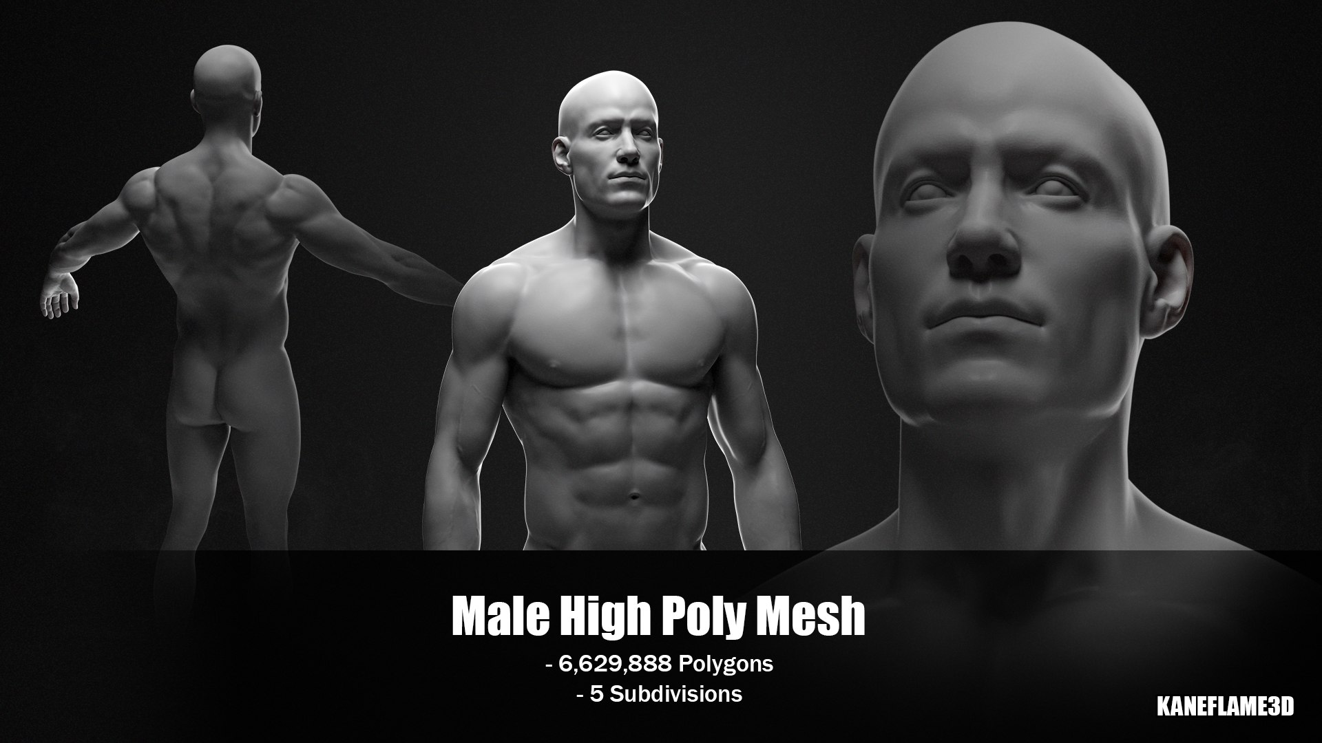 New High Quality Base Meshes For Sculpting 3D Model - TurboSquid 2327706