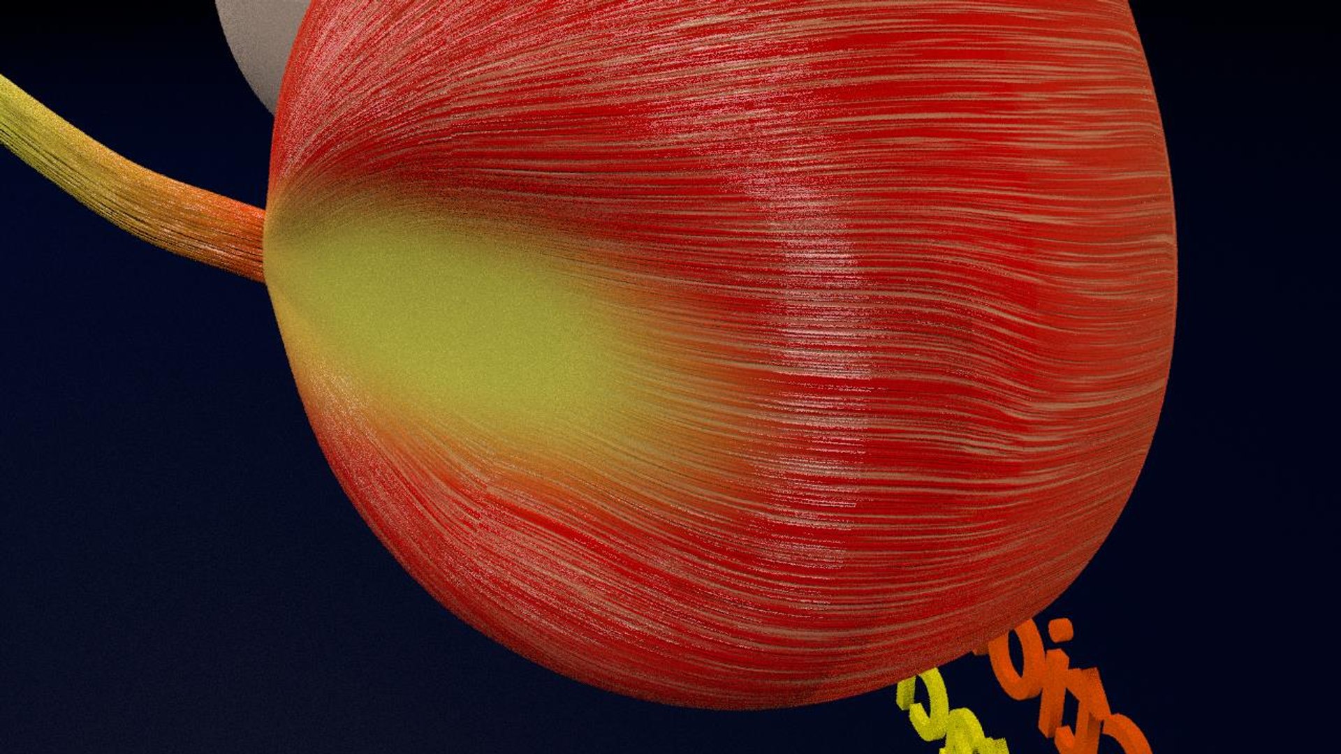 Retinal Detachment Types Eye 3D Model - TurboSquid 1774876