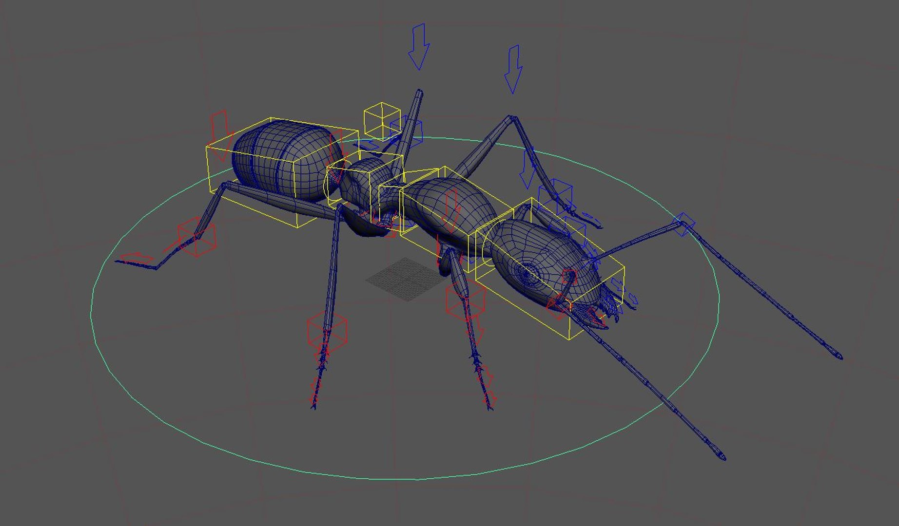 3D Ant Rigged - TurboSquid 1404187