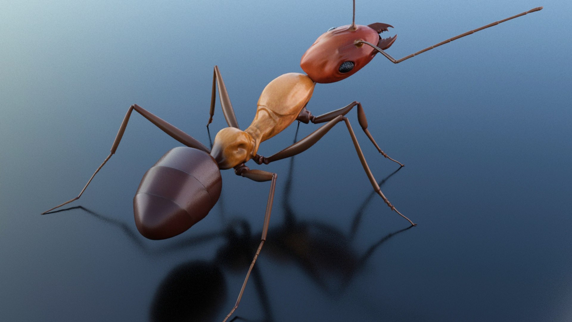 3D Ant Rigged - TurboSquid 1404187