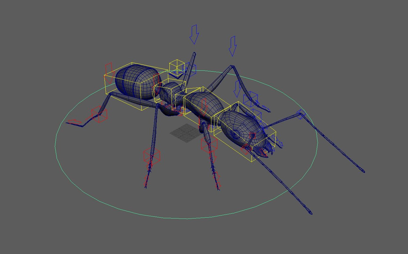 3D Ant Rigged - TurboSquid 1404187