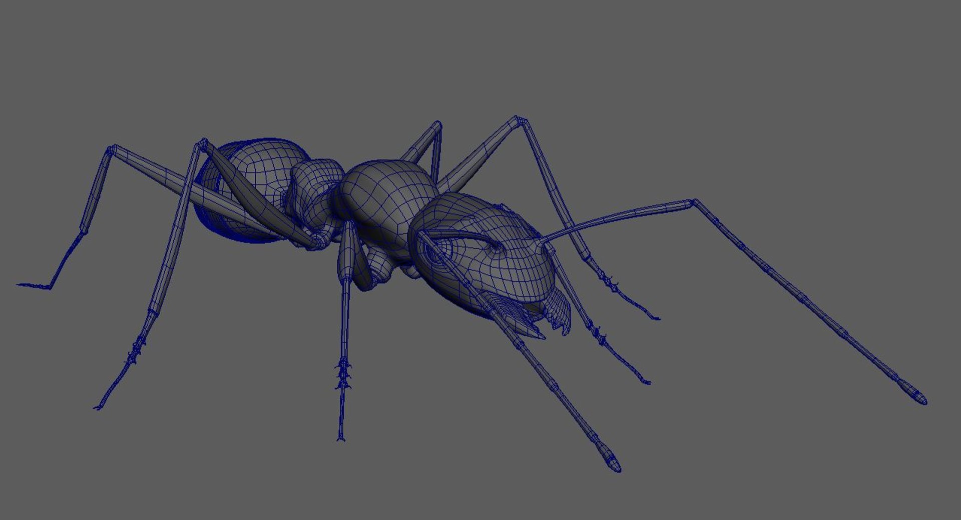 3D Ant Rigged - TurboSquid 1404187