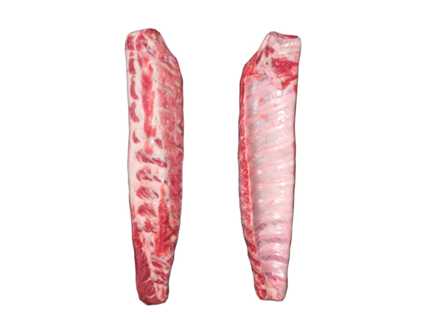 3d Beef Rib Model