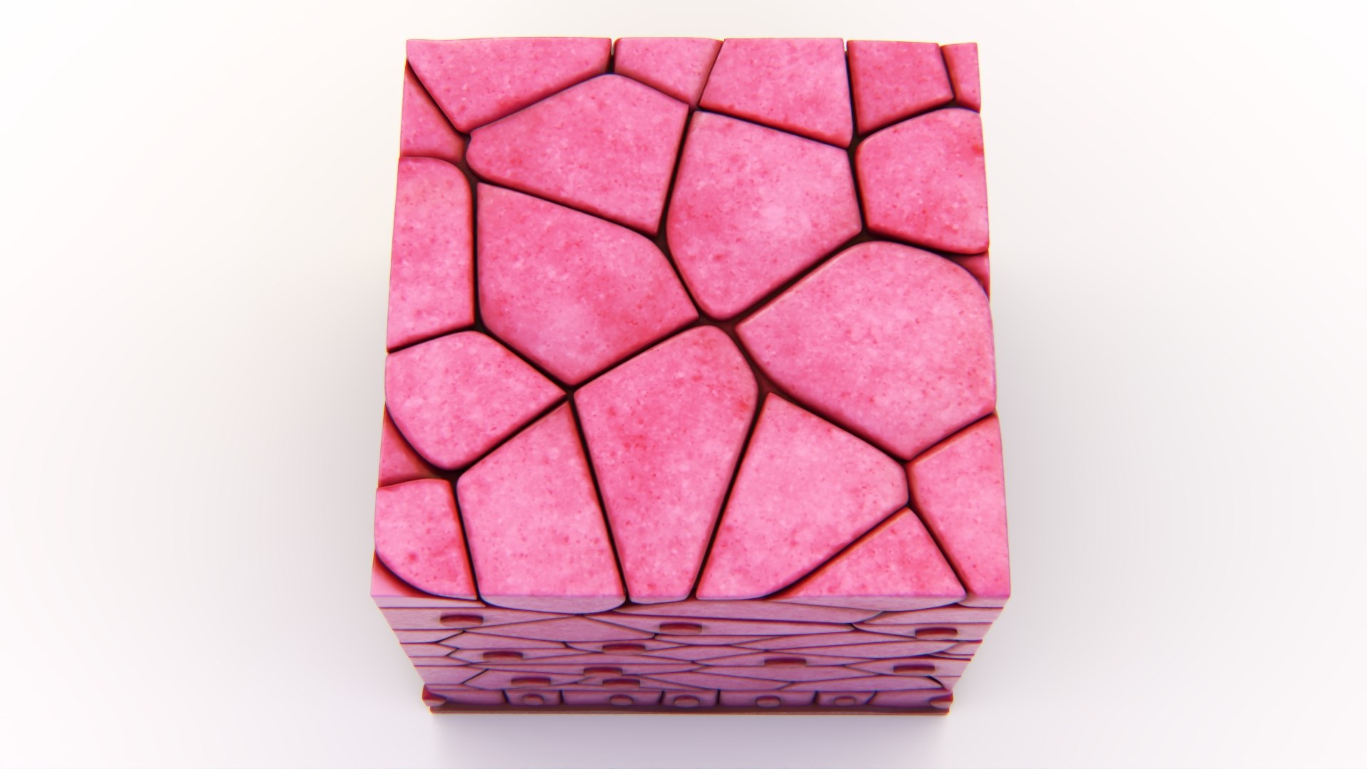 3D Model Skin Cells Collection - TurboSquid 2240863