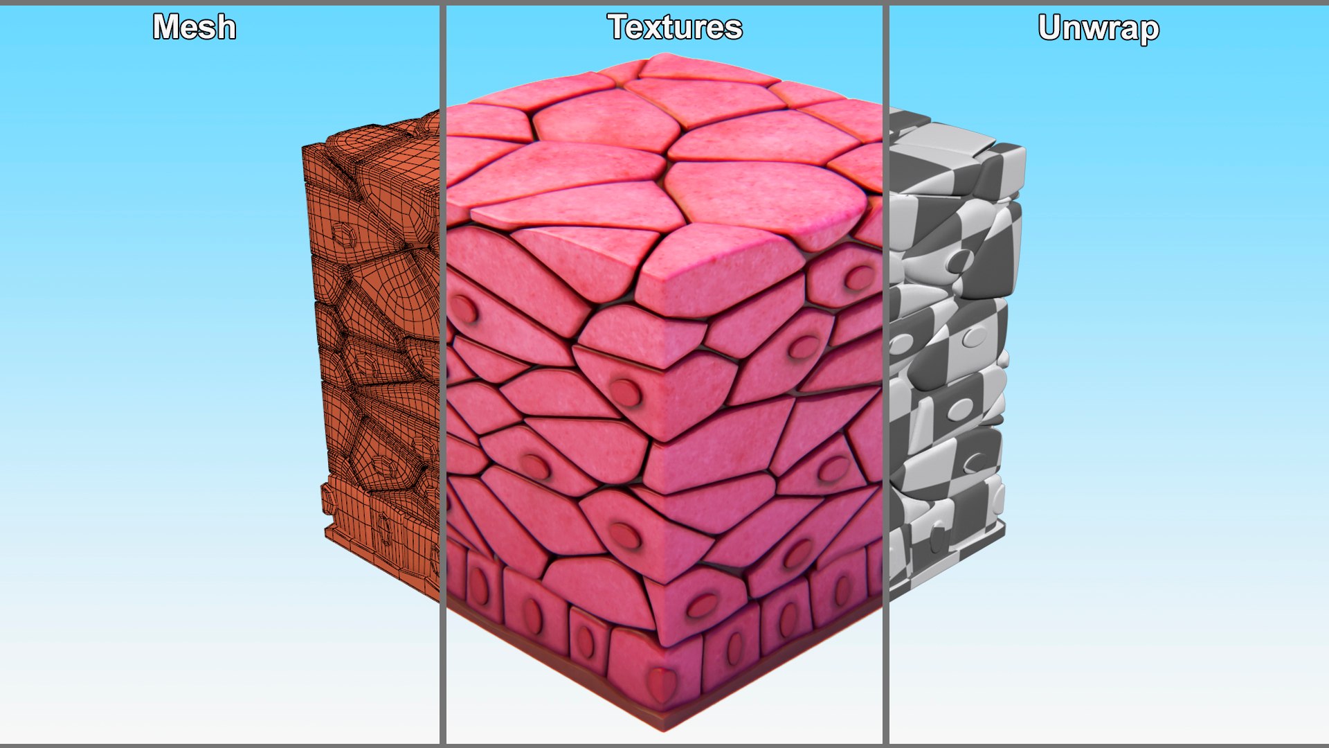 3D Model Skin Cells Collection - TurboSquid 2240863