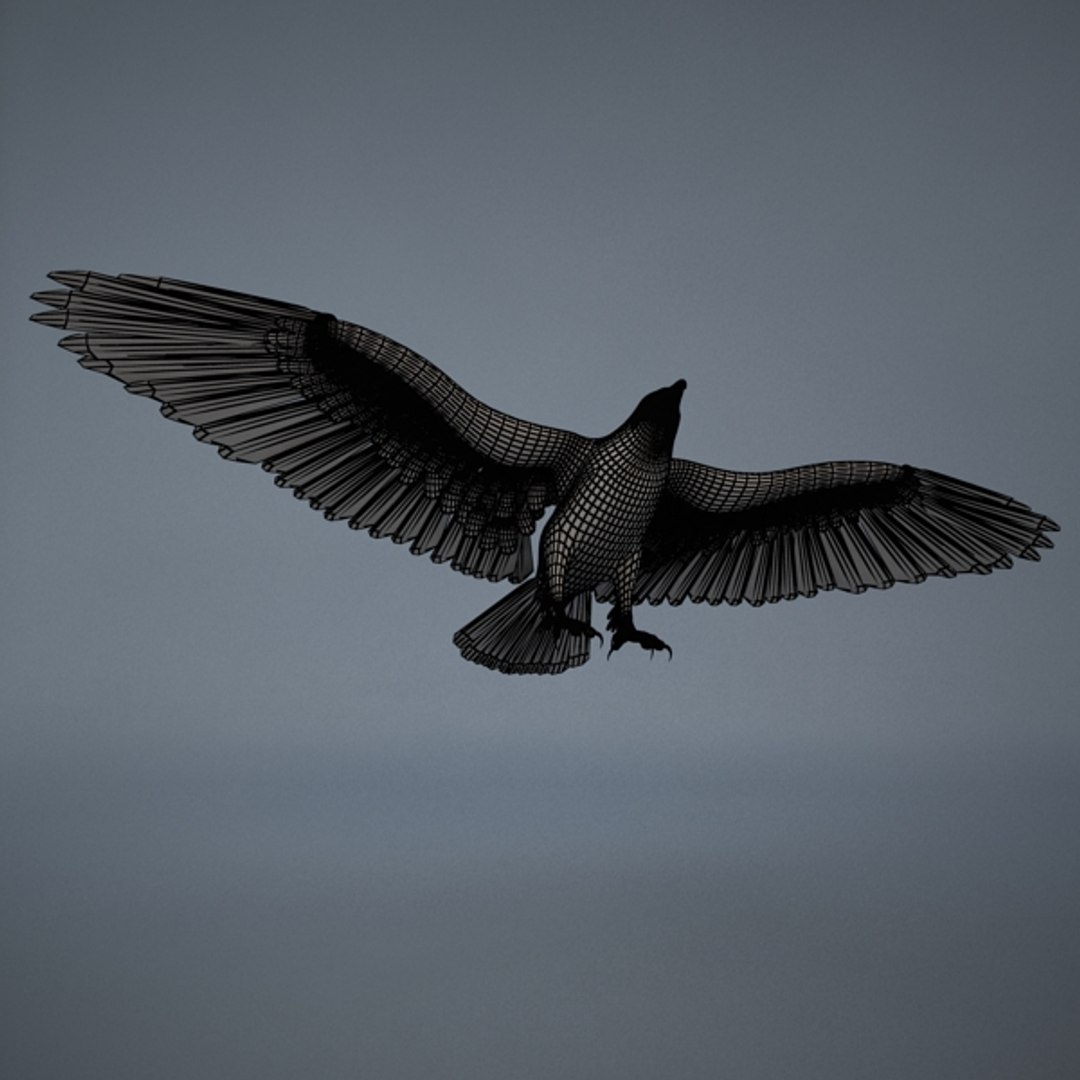 Max Eagle