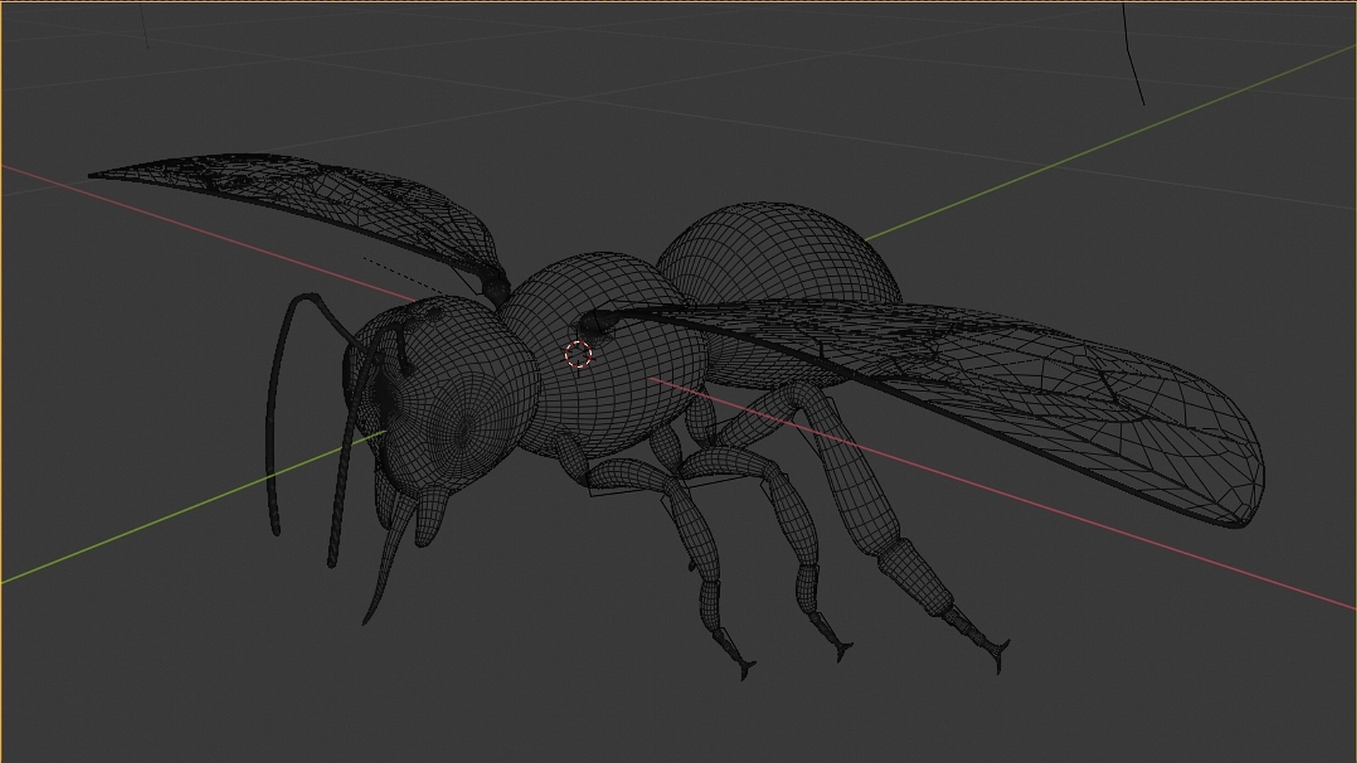 Honey Bee Insect Wings 3D Model - TurboSquid 1622834