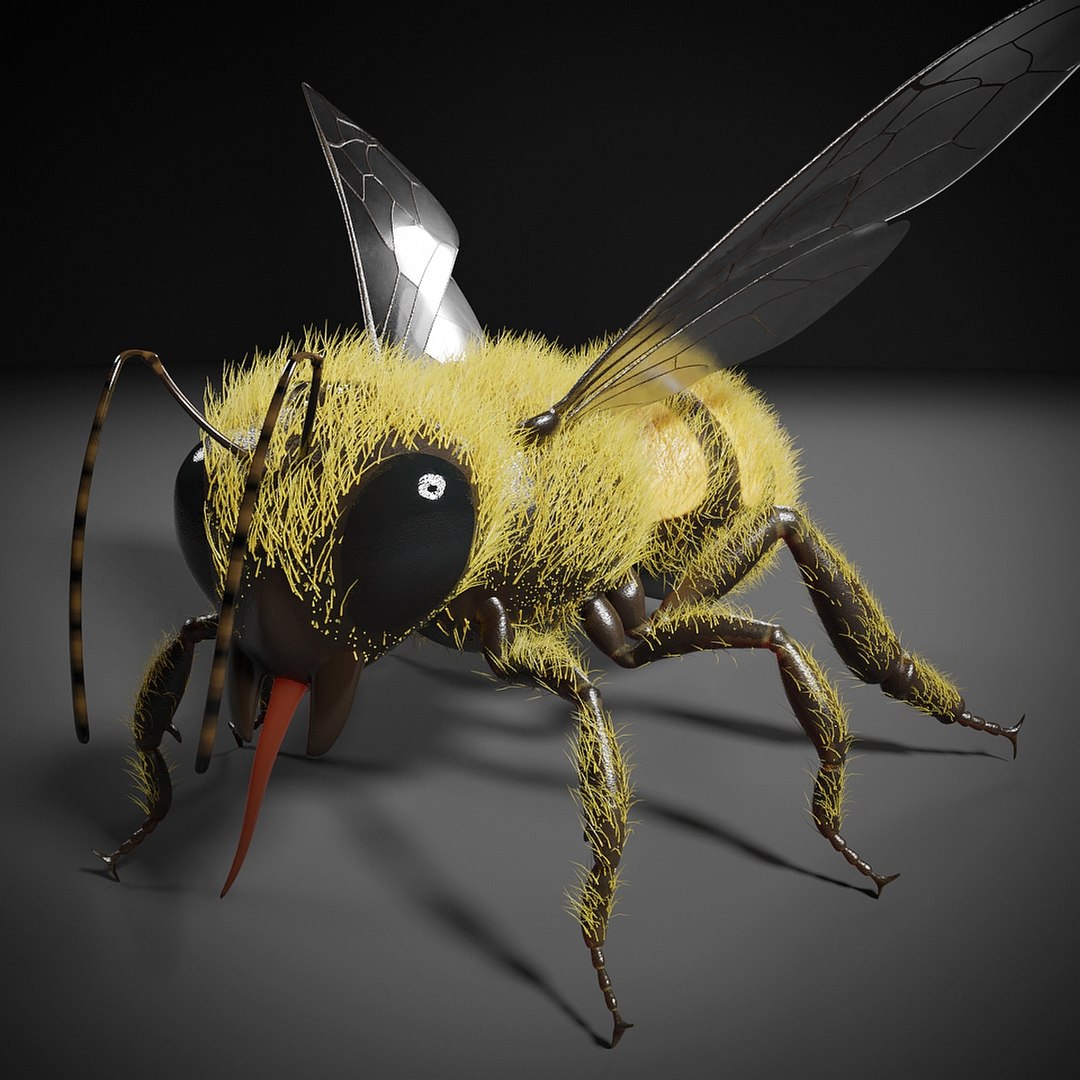 Honey Bee Insect Wings 3D Model - TurboSquid 1622834
