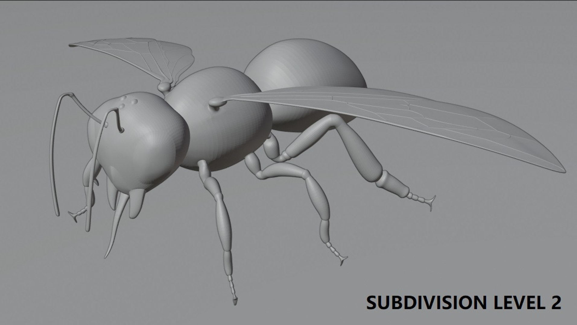 Honey Bee Insect Wings 3D Model - TurboSquid 1622834