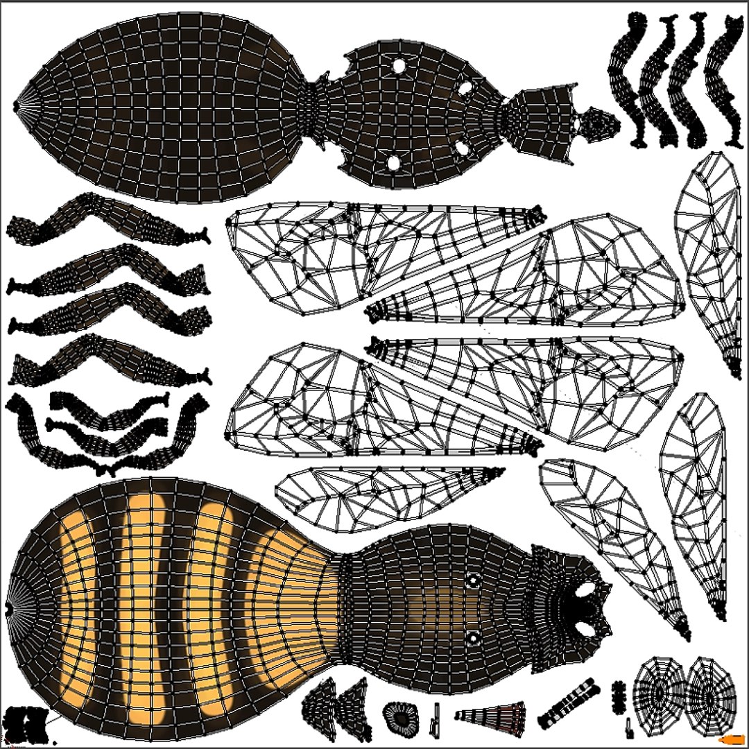 Honey Bee Insect Wings 3D Model - TurboSquid 1622834
