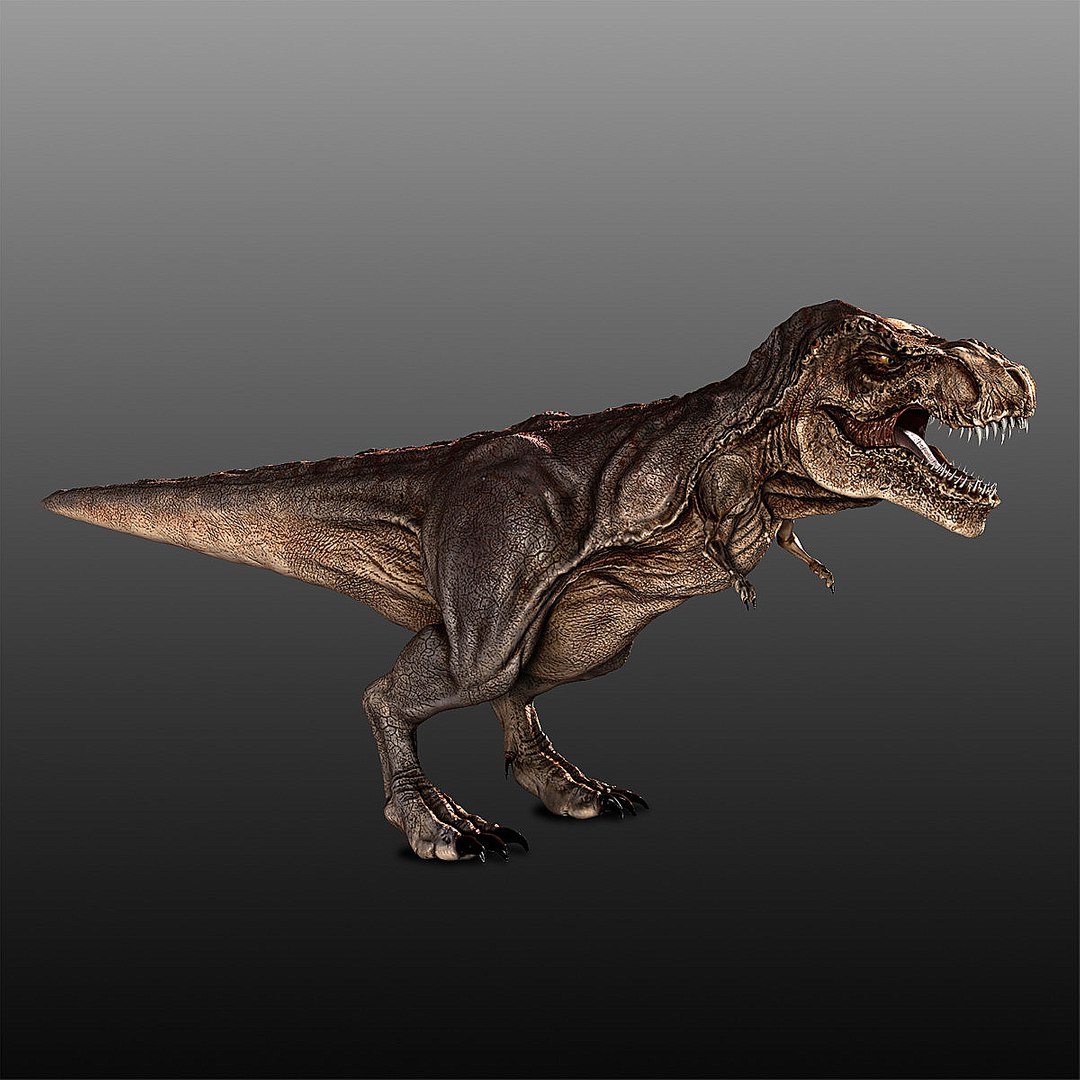 Tyrannosaurus Rigged Rex 3d Model
