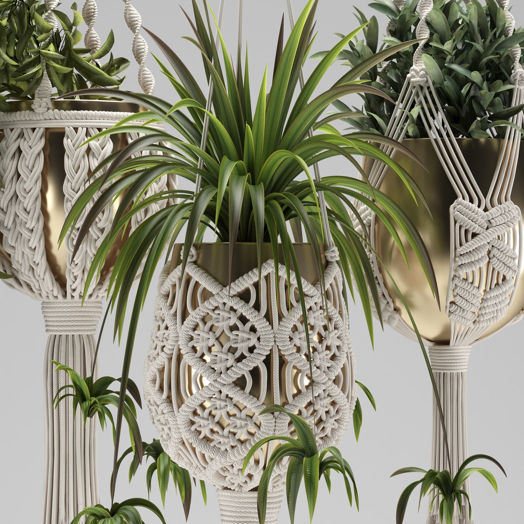 3D Macrame Plants Hangers - TurboSquid 2020196