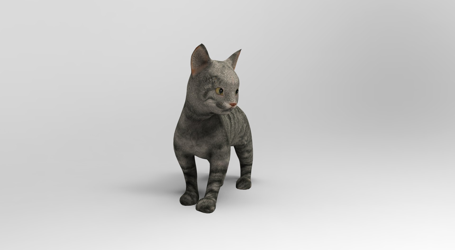 3D Model Cat Rigged Animation - TurboSquid 1204666
