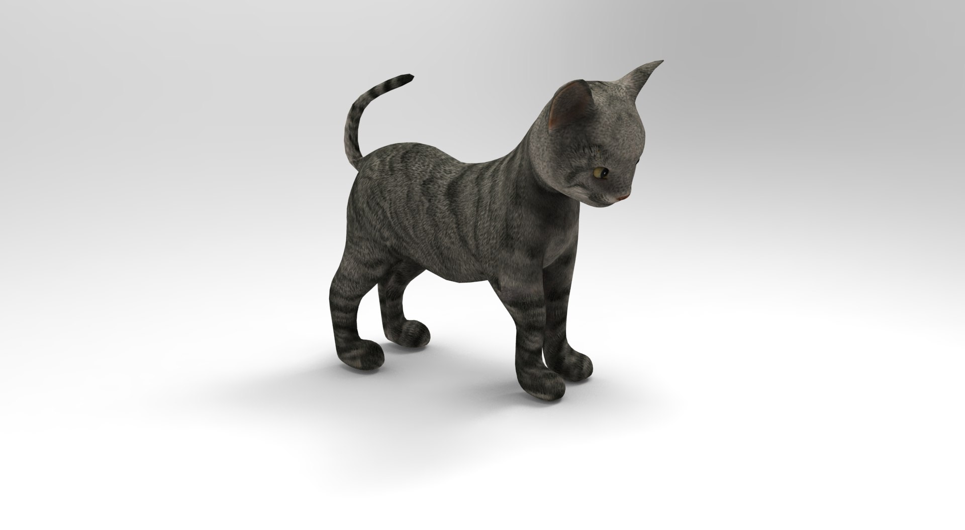 3D Model Cat Rigged Animation - TurboSquid 1204666