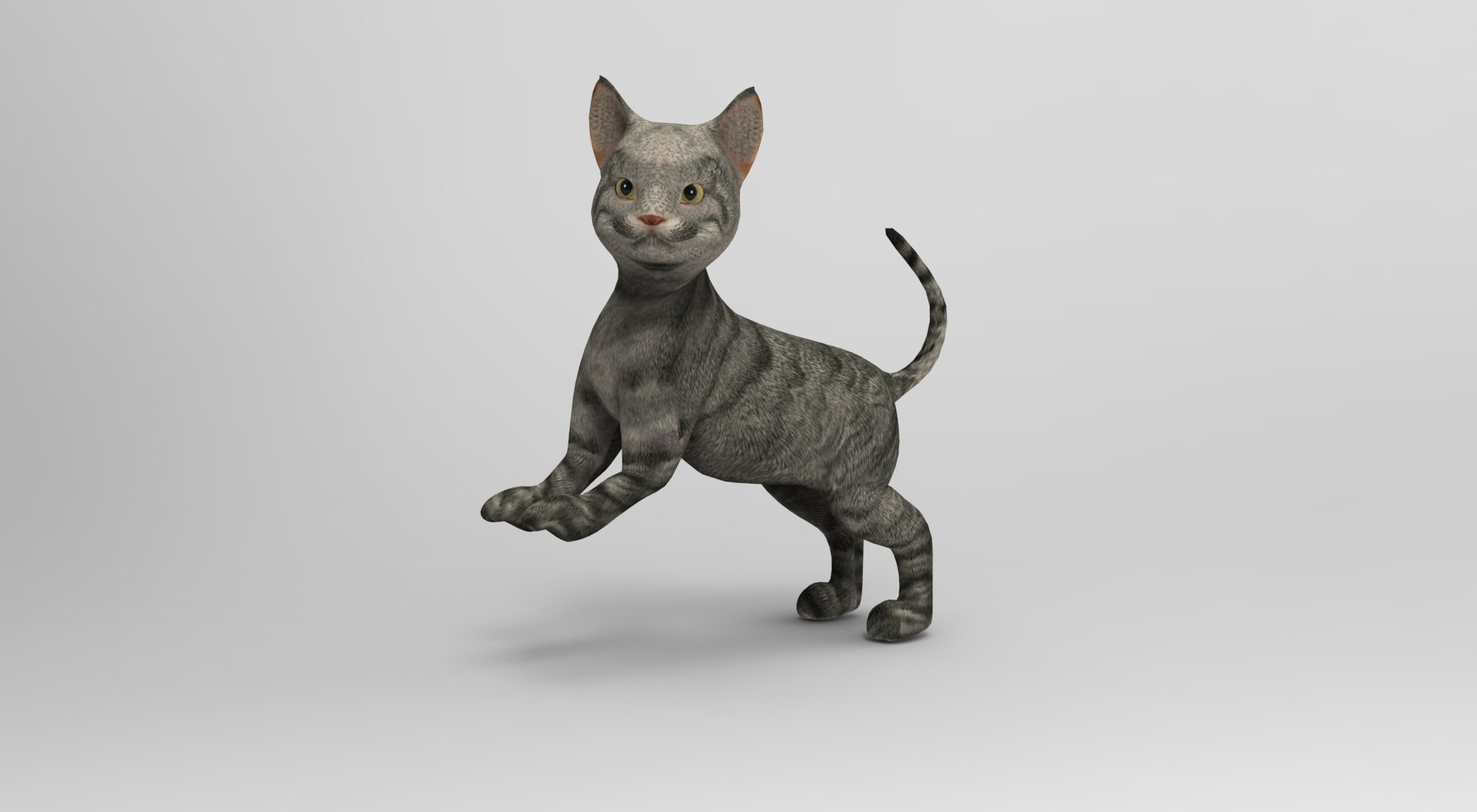 3D Model Cat Rigged Animation - TurboSquid 1204666