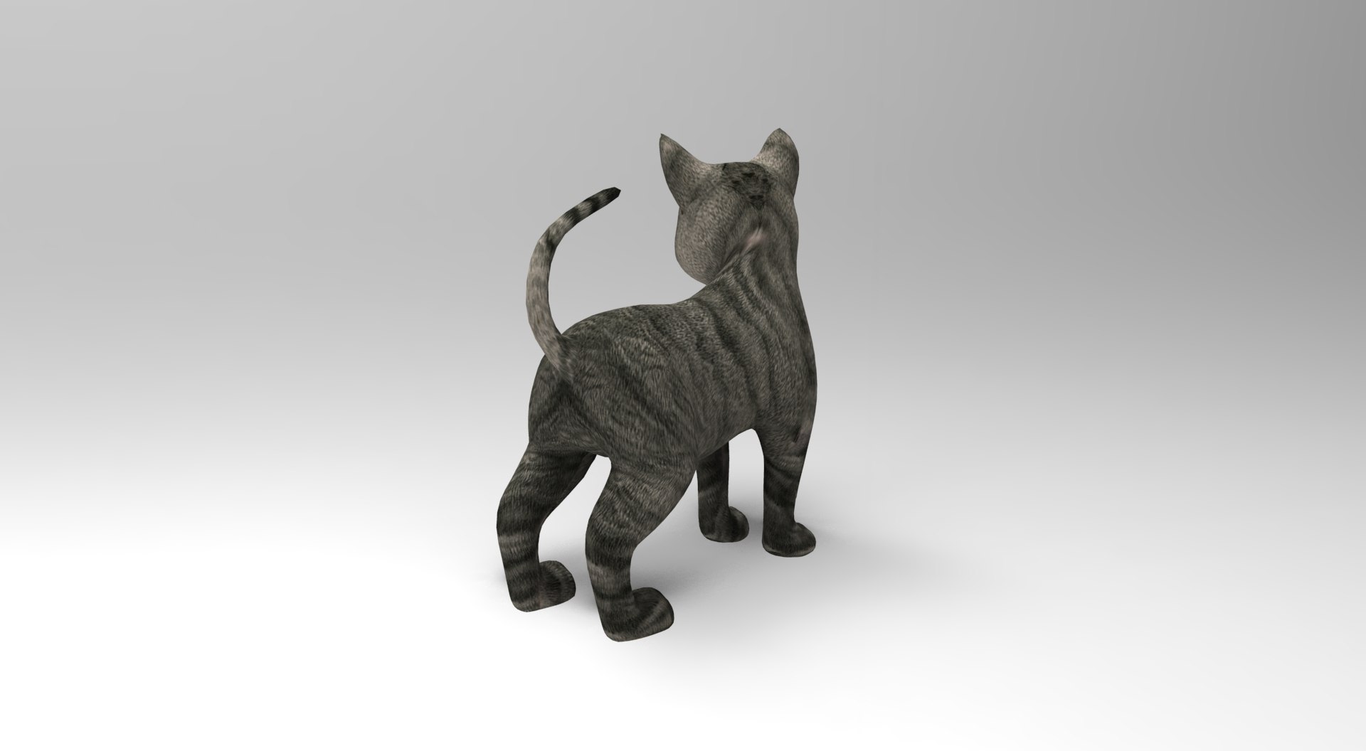 3D Model Cat Rigged Animation - TurboSquid 1204666