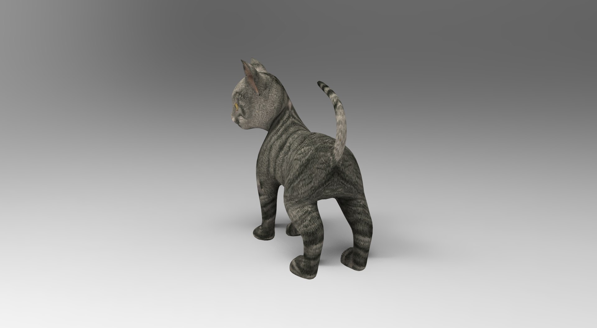 3D Model Cat Rigged Animation - TurboSquid 1204666