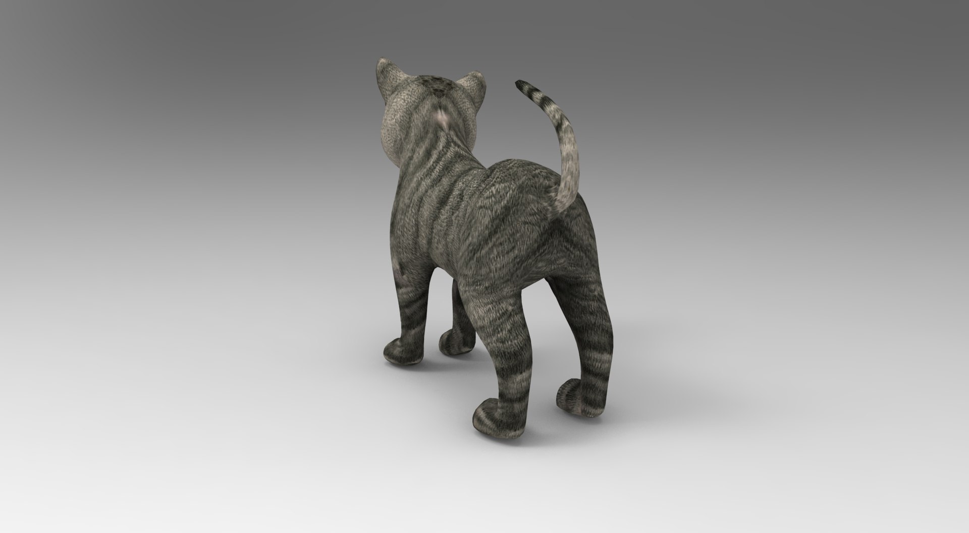 3D Model Cat Rigged Animation - TurboSquid 1204666