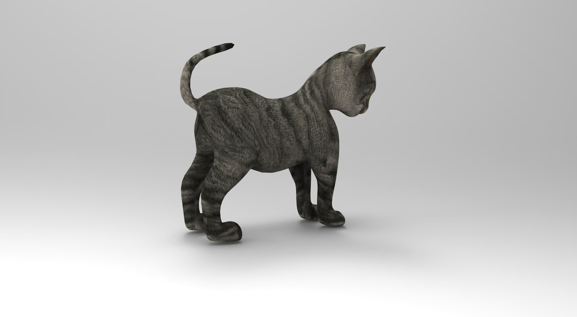 3D Model Cat Rigged Animation - TurboSquid 1204666