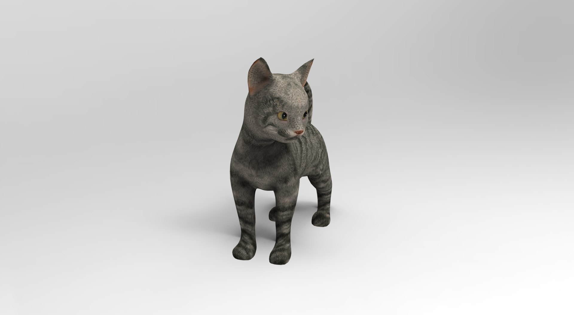 3D Model Cat Rigged Animation - TurboSquid 1204666
