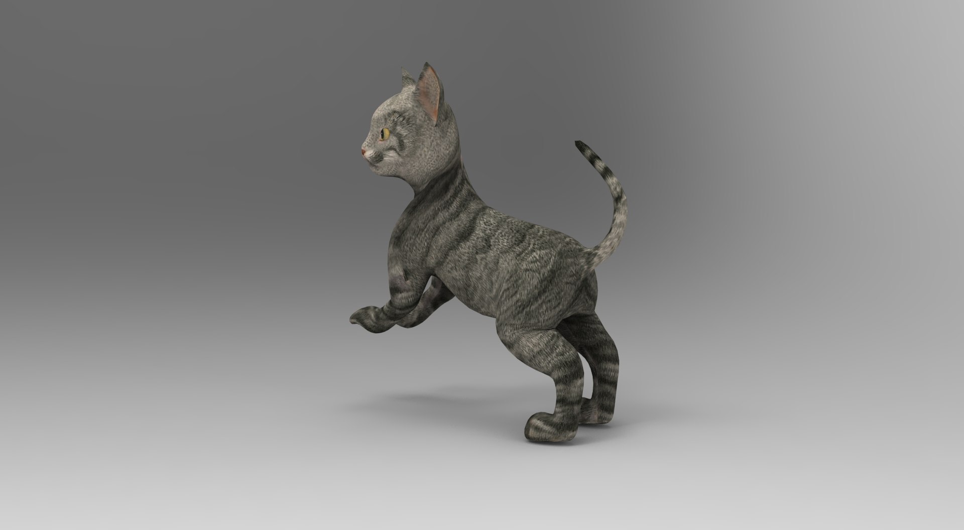 3D Model Cat Rigged Animation - TurboSquid 1204666