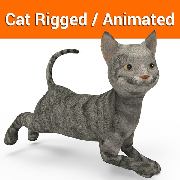 Cat 3D Models for Download | TurboSquid