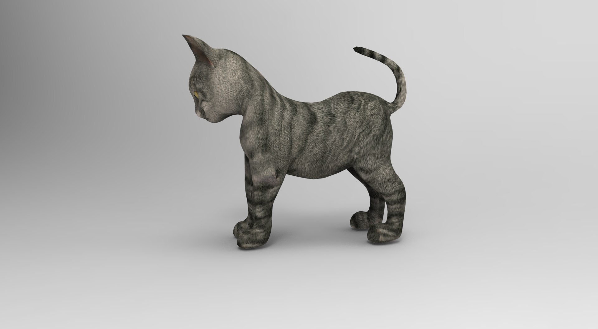 3D Model Cat Rigged Animation - TurboSquid 1204666