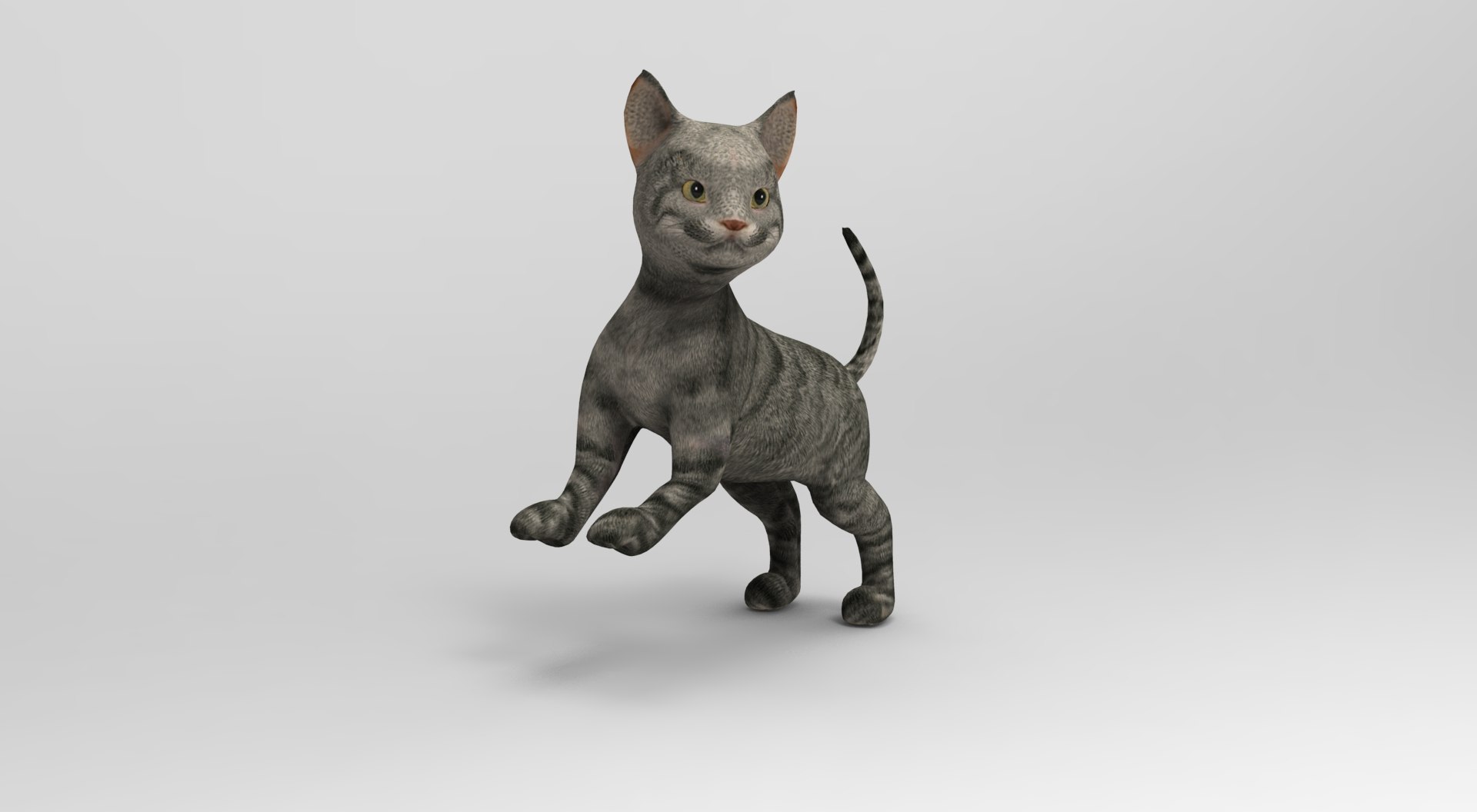 3D Model Cat Rigged Animation - TurboSquid 1204666
