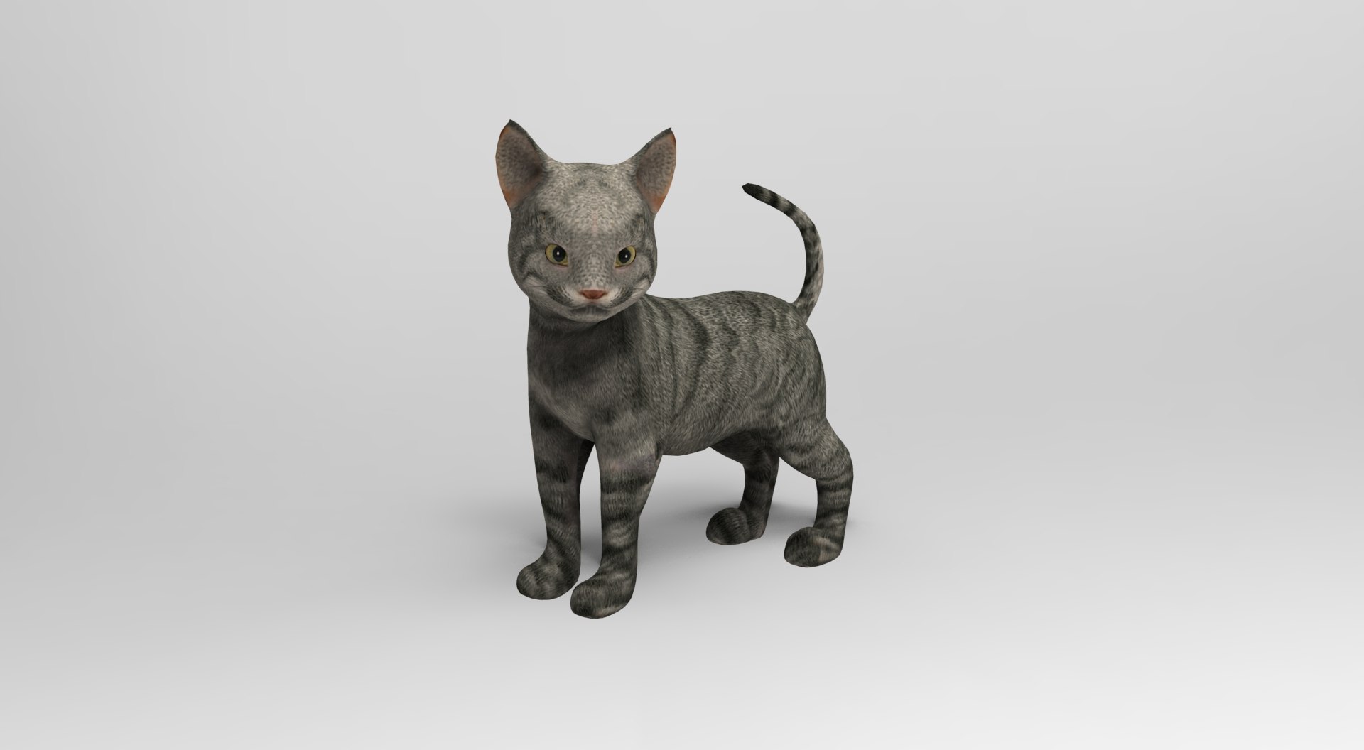 3D Model Cat Rigged Animation - TurboSquid 1204666
