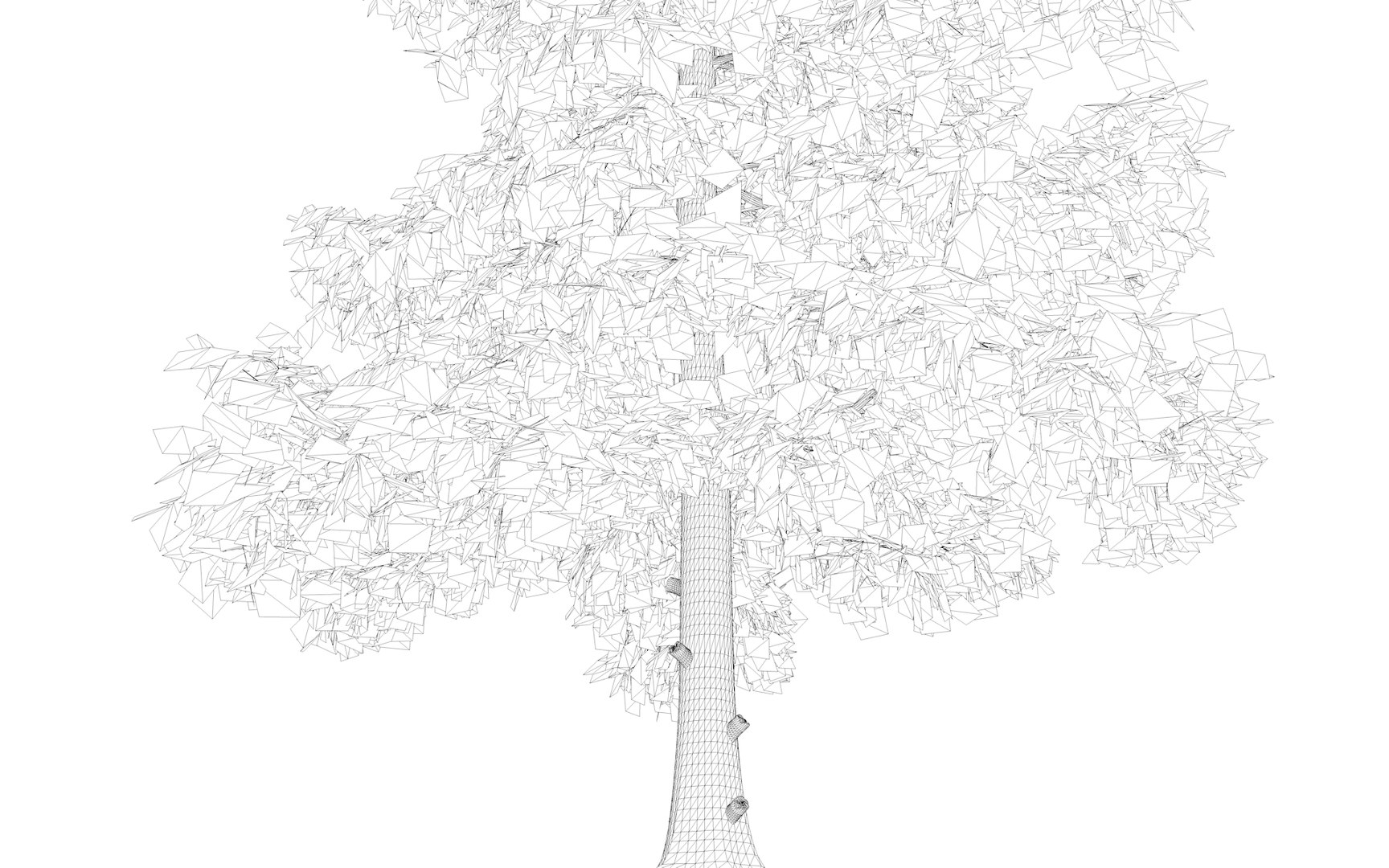 3D Alaska Cedar - 06 - Model - TurboSquid 2012813